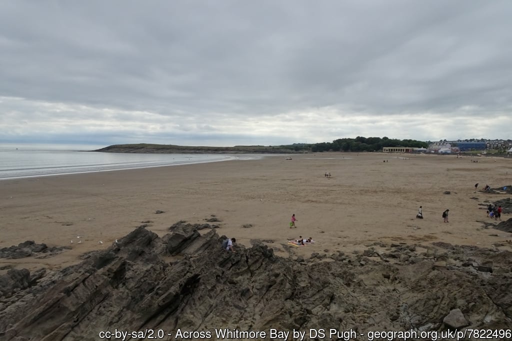 Dog friendly Best Barry Dog-Friendly Beaches, Vale of Glamorgan