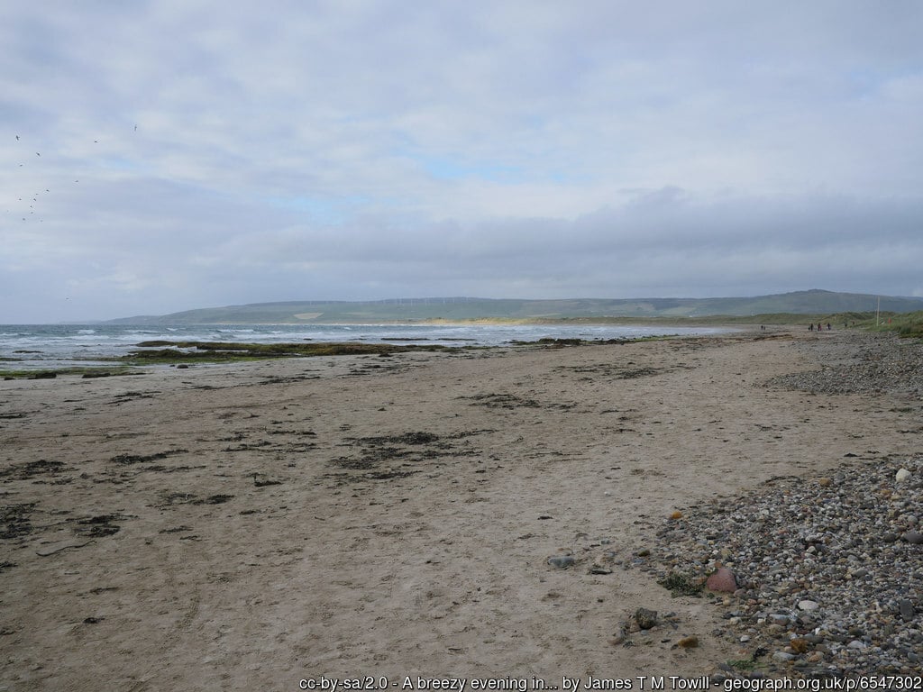 The Best 10 Beaches for an Autumn Dog Walk Around the UK