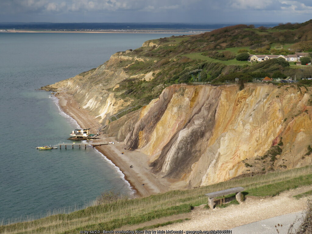 Alum Bay Beach Dog-Friendly Guide 🐾 Rules, Parking & Tips
