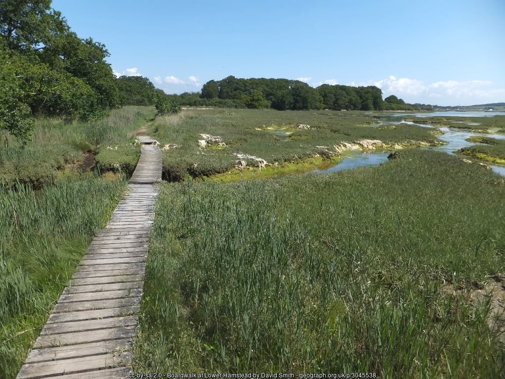 Dog friendly Hamstead Heritage Coast, Isle of Wight